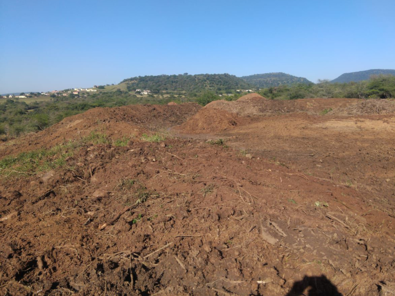 KZN news bites: Man eats python for ‘mental protection’ | Scrolla.Africa