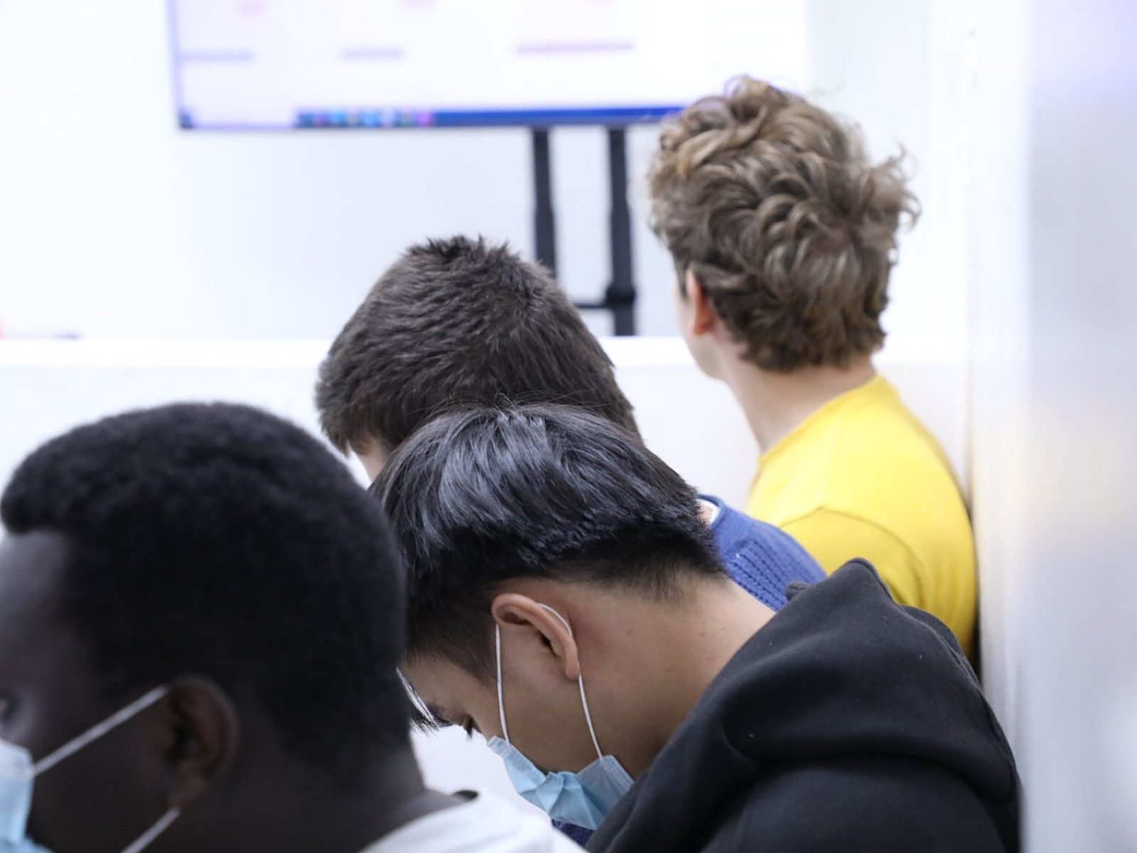 Ant smuggling gang jailed for sneaking out rare African queens ...