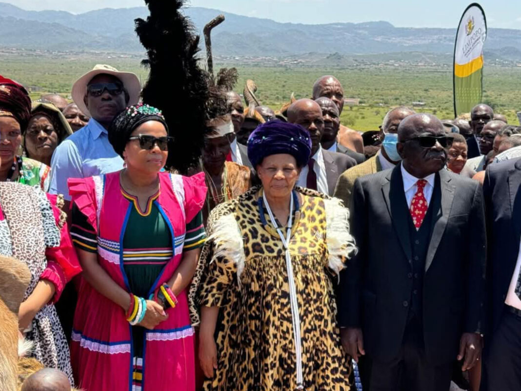 Bapedi Queen Regent takes royal throne fight to top court - Scrolla.Africa