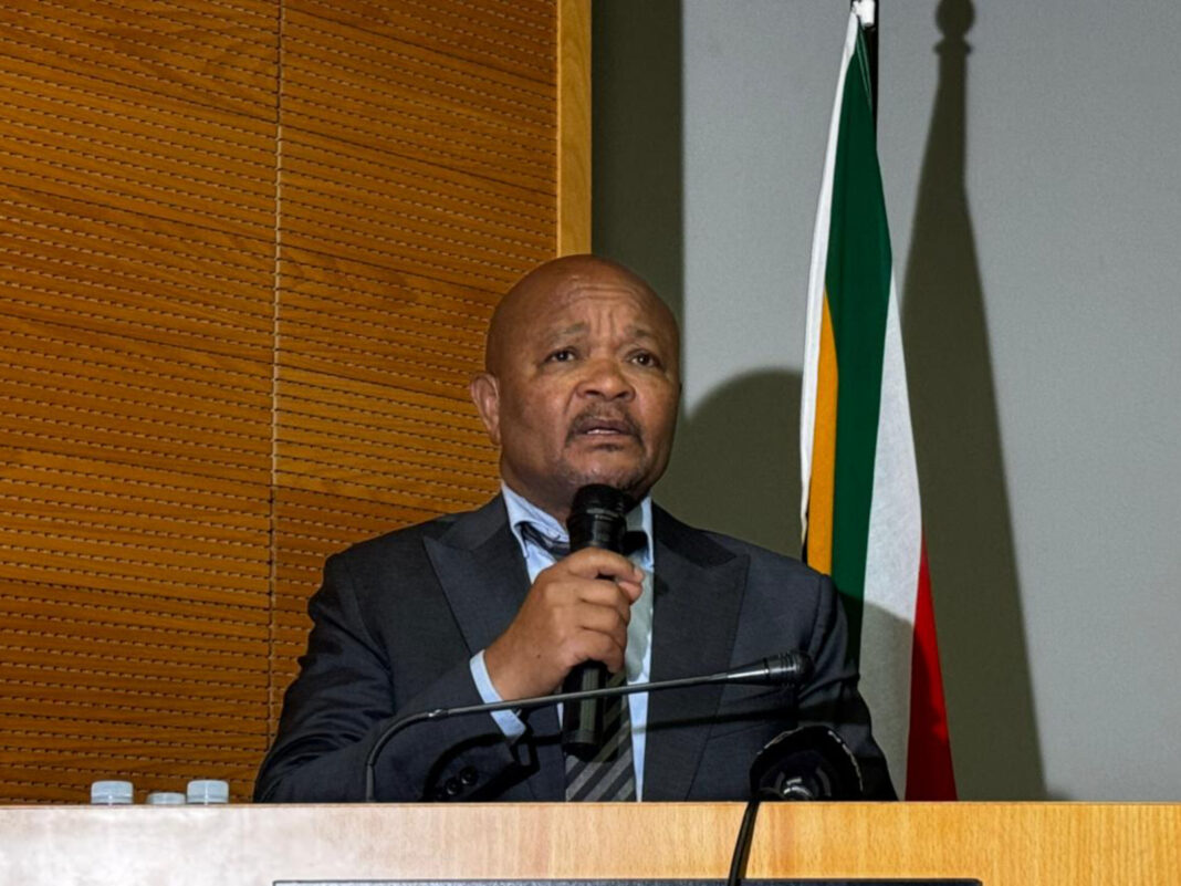 Mchunu admits he killed task team but says he did it the right way ...