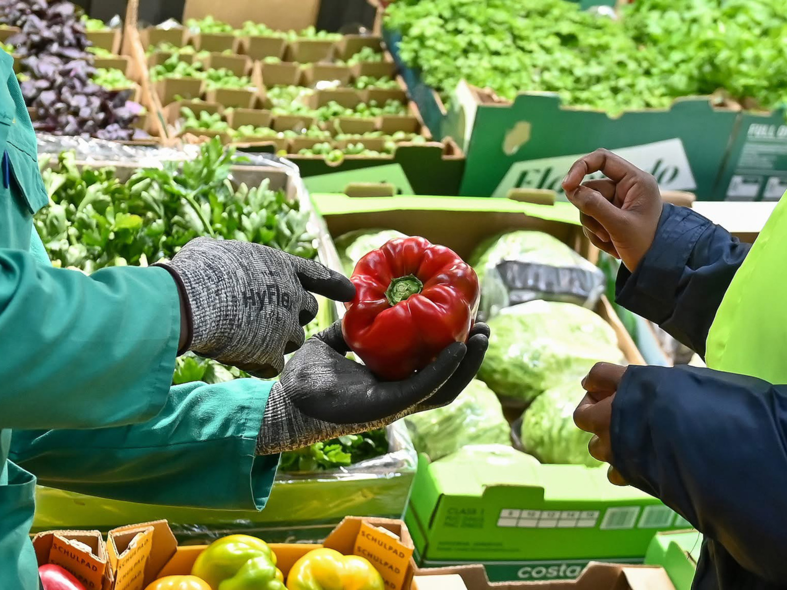 New market agent opens doors for small farmers - Scrolla.Africa