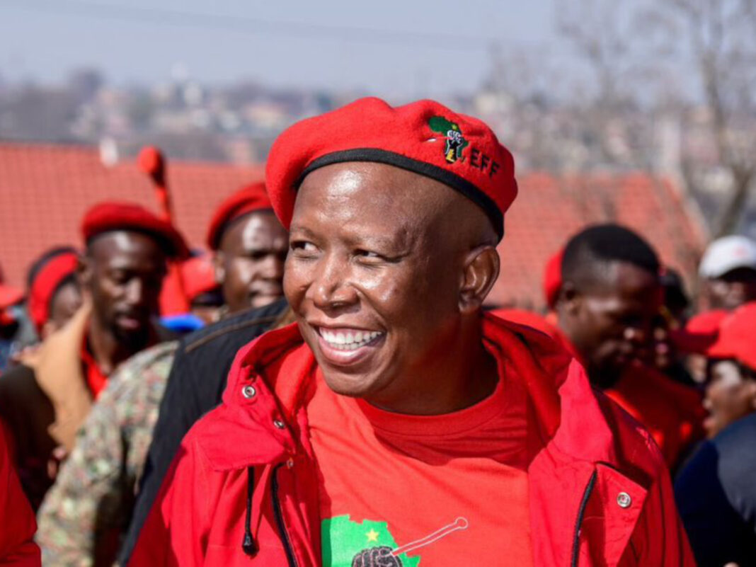 Julius Malema says no to leading Mkhwanazi investigation team - Scrolla ...