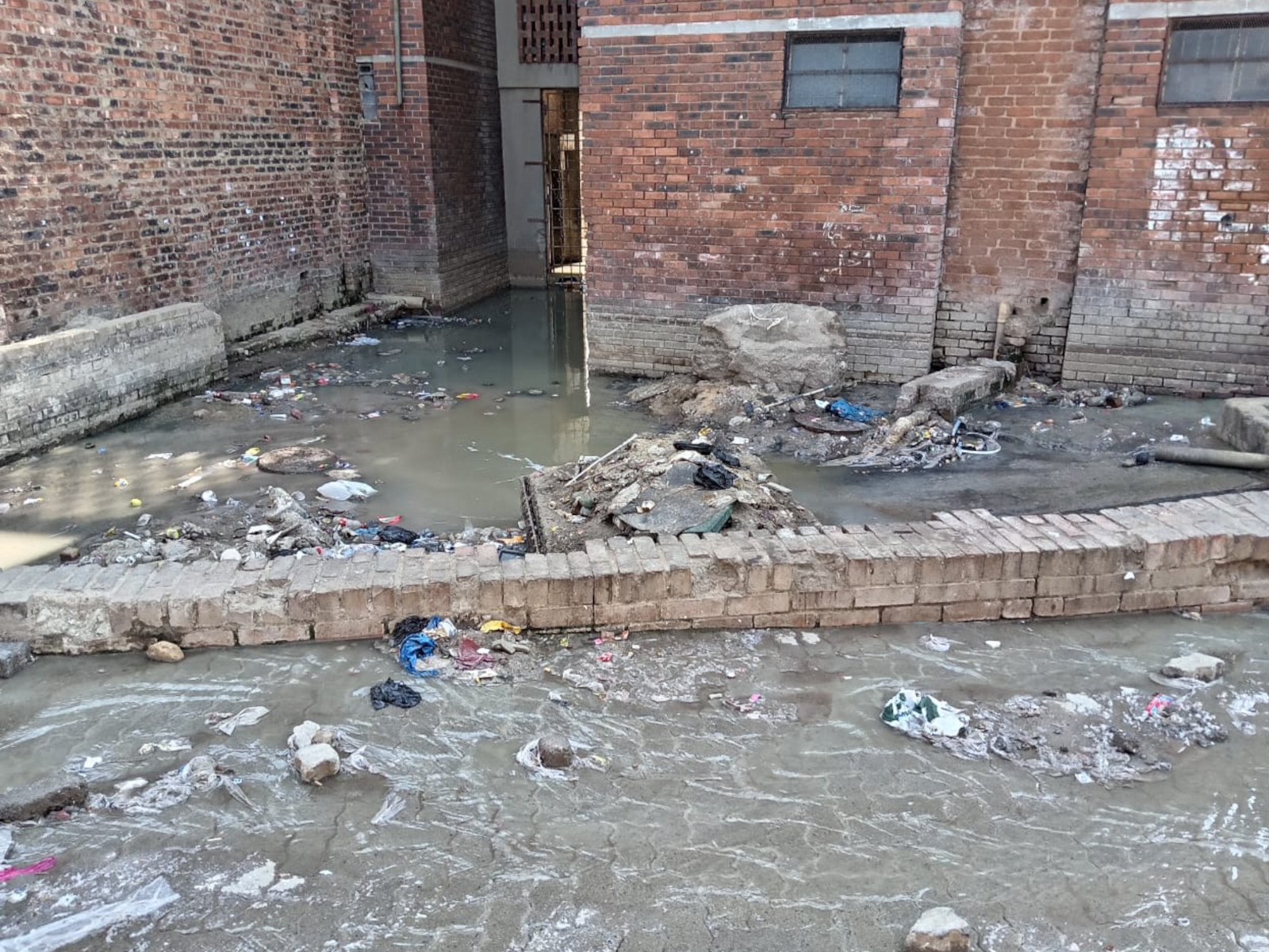 Corrupt officials gamble with Alexandra children’s lives for votes ...