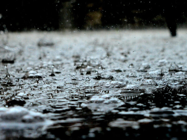 Rain is coming to Gauteng this weekend - Scrolla.Africa
