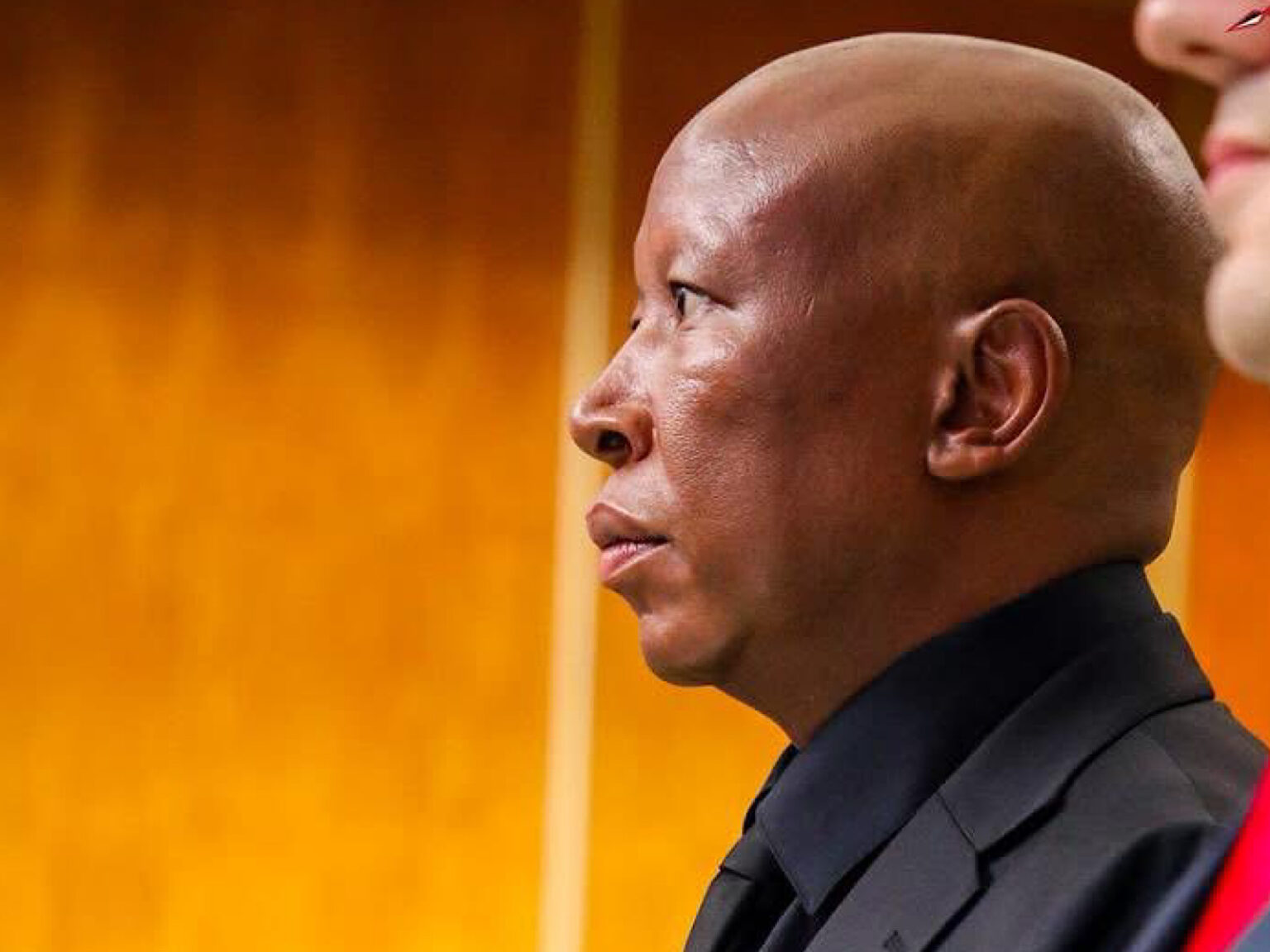 Judgement delayed in Malema gun case - Scrolla.Africa