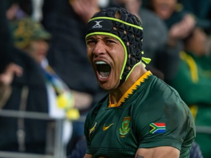 Van der Merwe ready to shine again as Boks face Italy - Scrolla.Africa