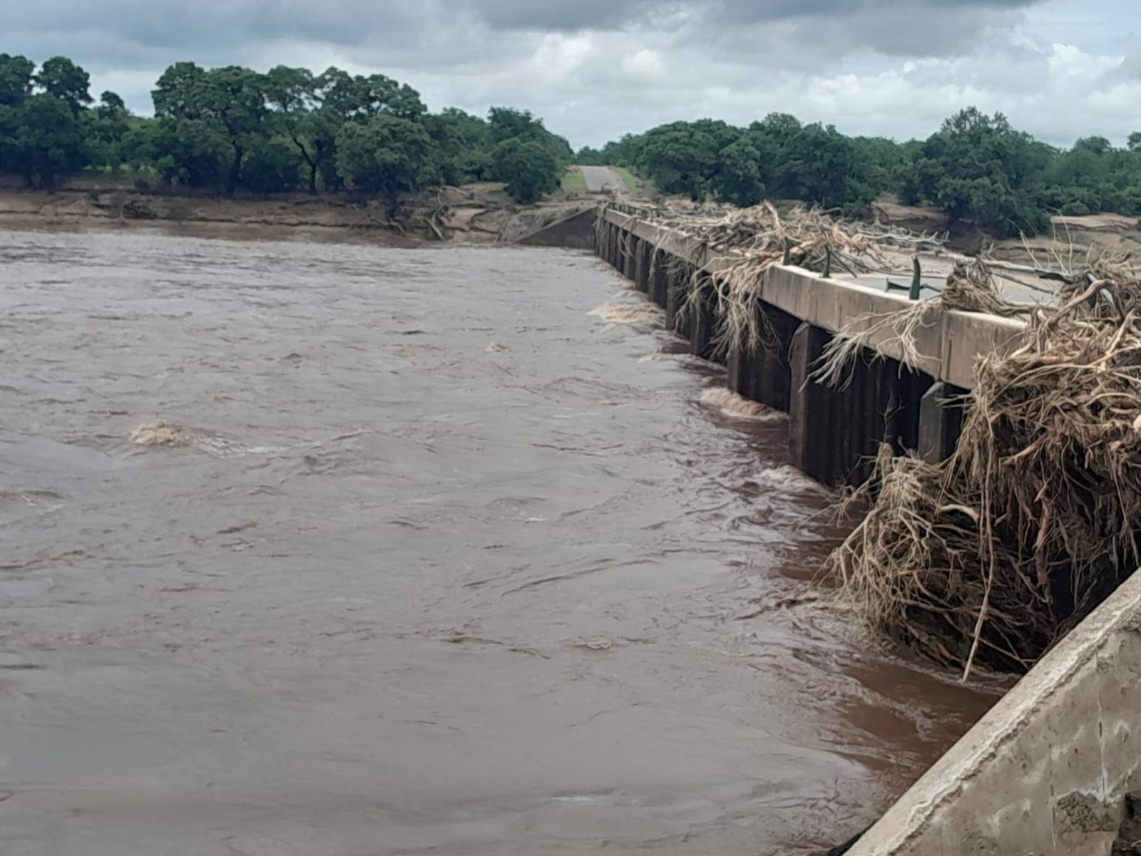 Heavy rains turn Limpopo and Mpumalanga into disaster zones - Scrolla ...