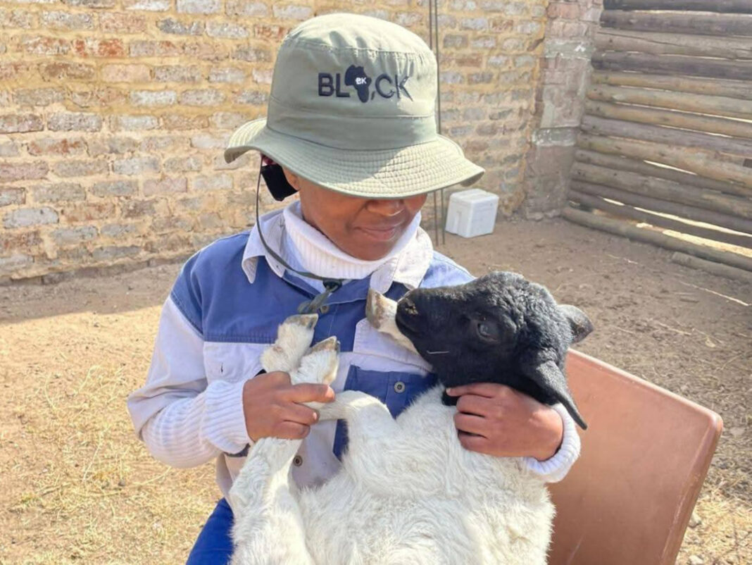 Mpumalanga woman built farm by selling meat door to door - Scrolla.Africa