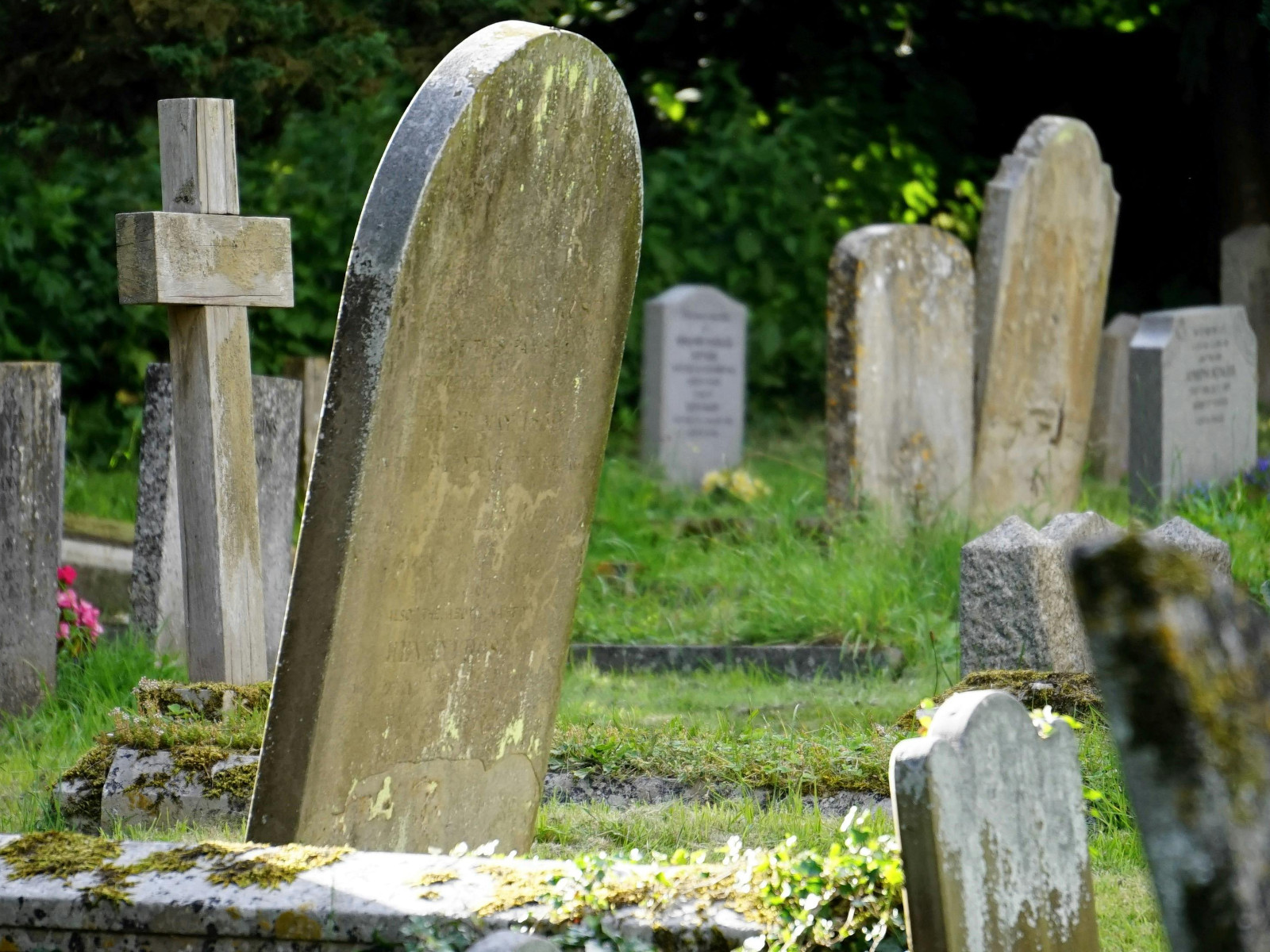 Cemetery crew turns grief into survival in Soweto - Scrolla.Africa