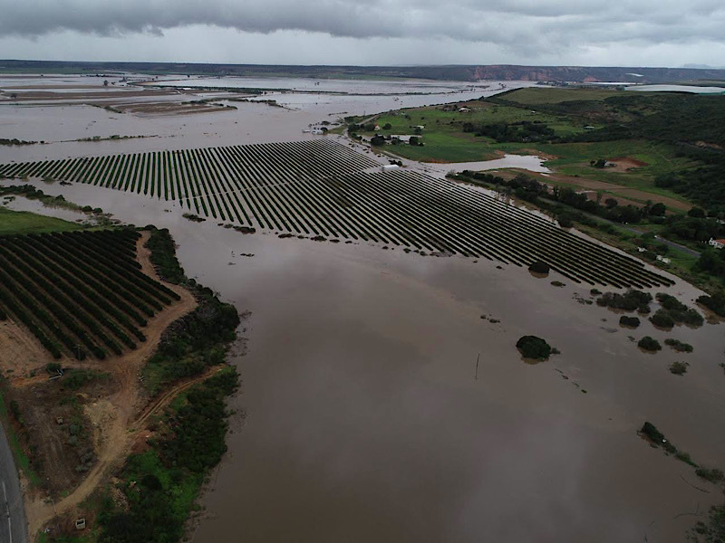 Floods smash South Africa’s citrus and fruit farms - Scrolla.Africa