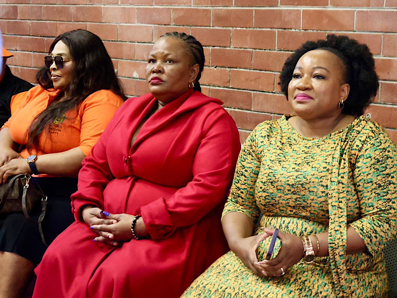 NFP removes four leaders who stood with expelled MEC Shinga - Scrolla ...