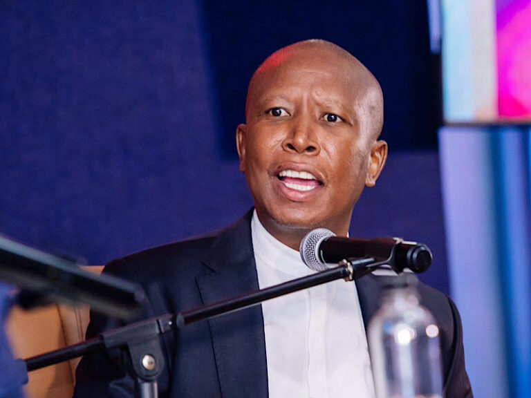 Malema wants Ngizwe Mchunu locked up for six months - Scrolla.Africa